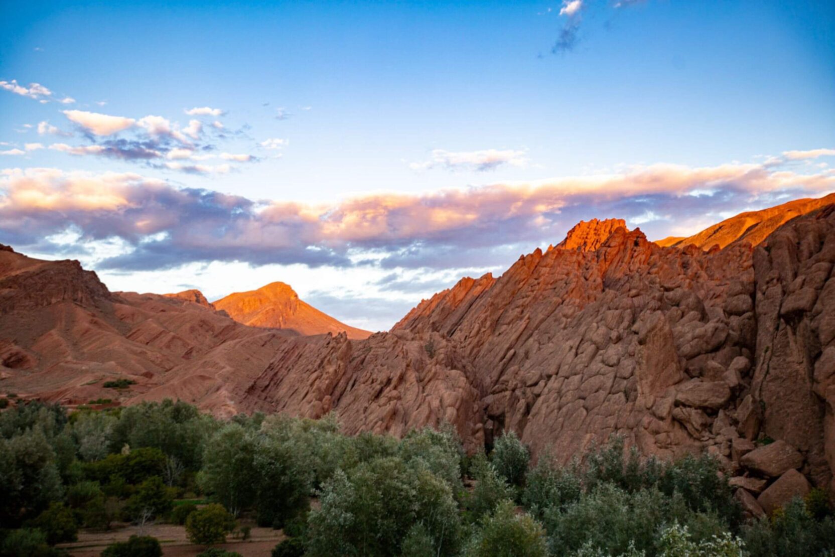 Vallée des Roses Maroc : Le Guide Complet pour Découvrir ce Joyau du ...