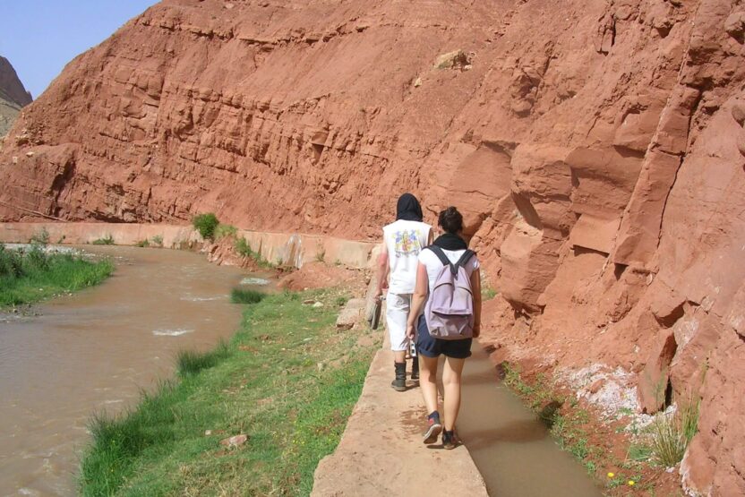 Vallée des Roses Maroc : Le Guide Complet pour Découvrir ce Joyau du ...